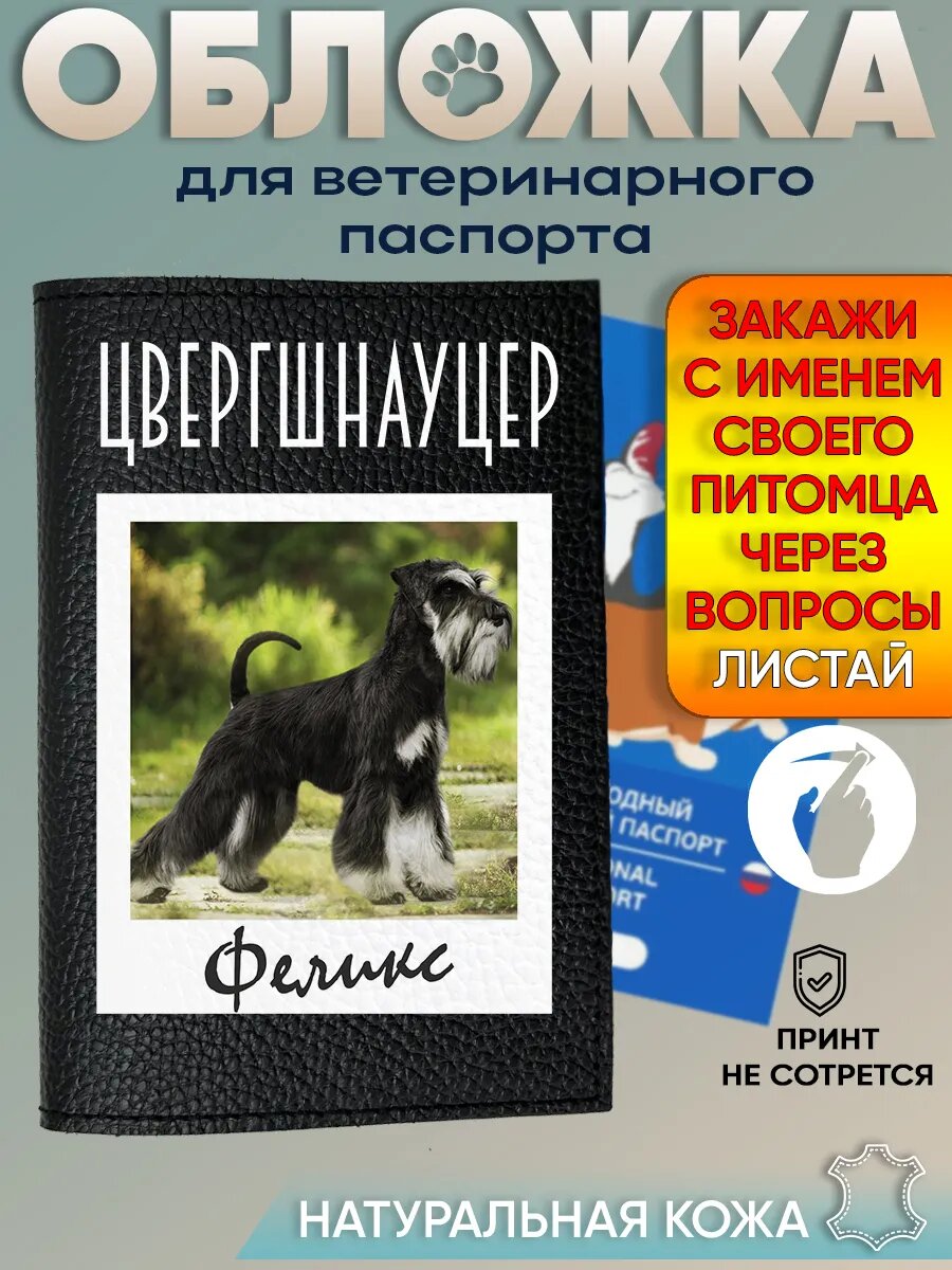 Обложка RenBel