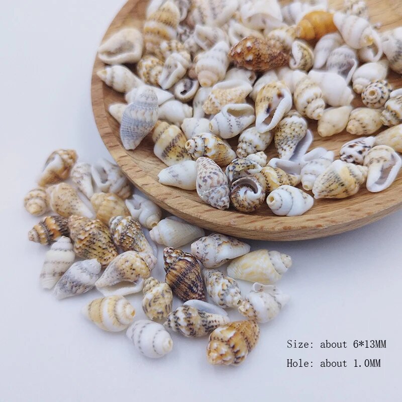Ракушки-подвески перфорированные, 40 шт, BK-004