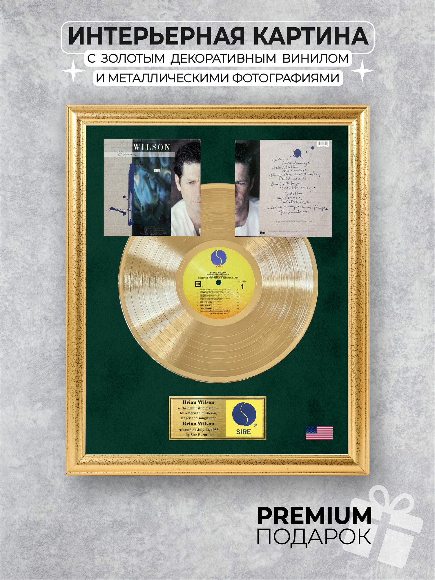 Brian Wilson золотой винил в рамке 45х55