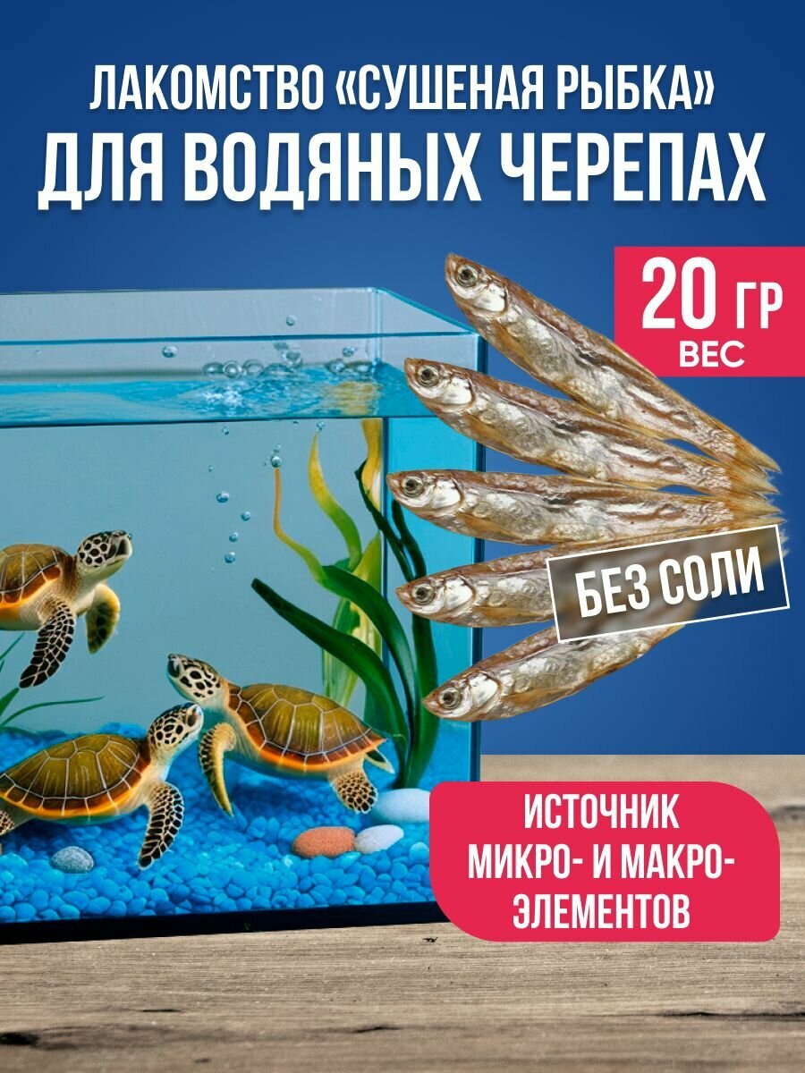 Лакомство "Сушеная рыбка" для водяных черепах, 20г / Корм для красноухих черепах, витамины для рептилий