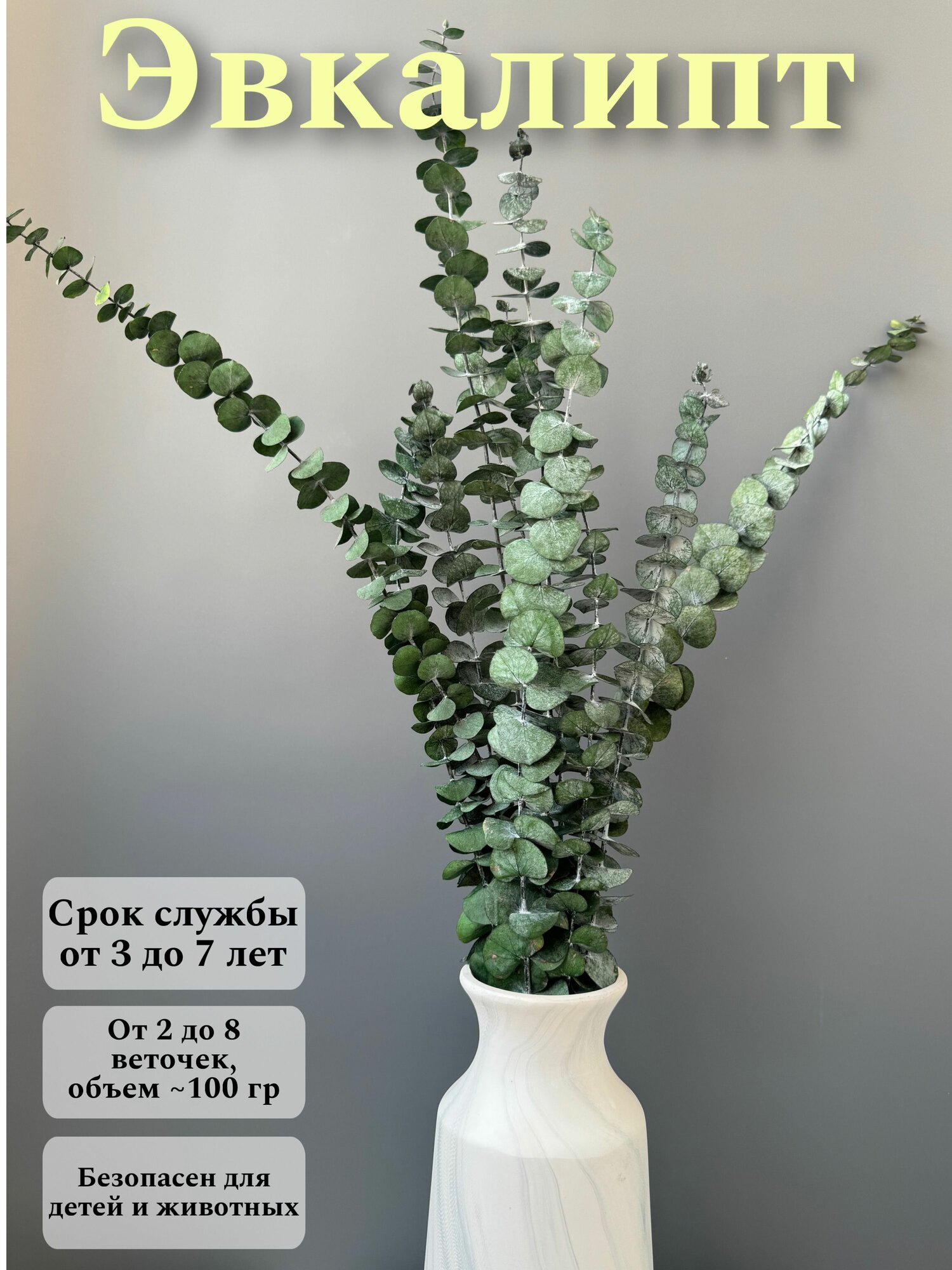 Эвкалипт Бэби-блю стабилизированный сухоцвет для декора
