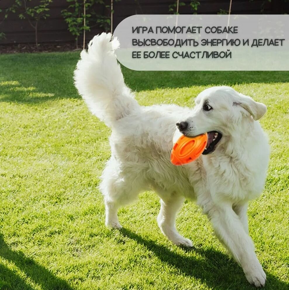Игрушки для собак, регби, резина, домашние животные, интерактивные