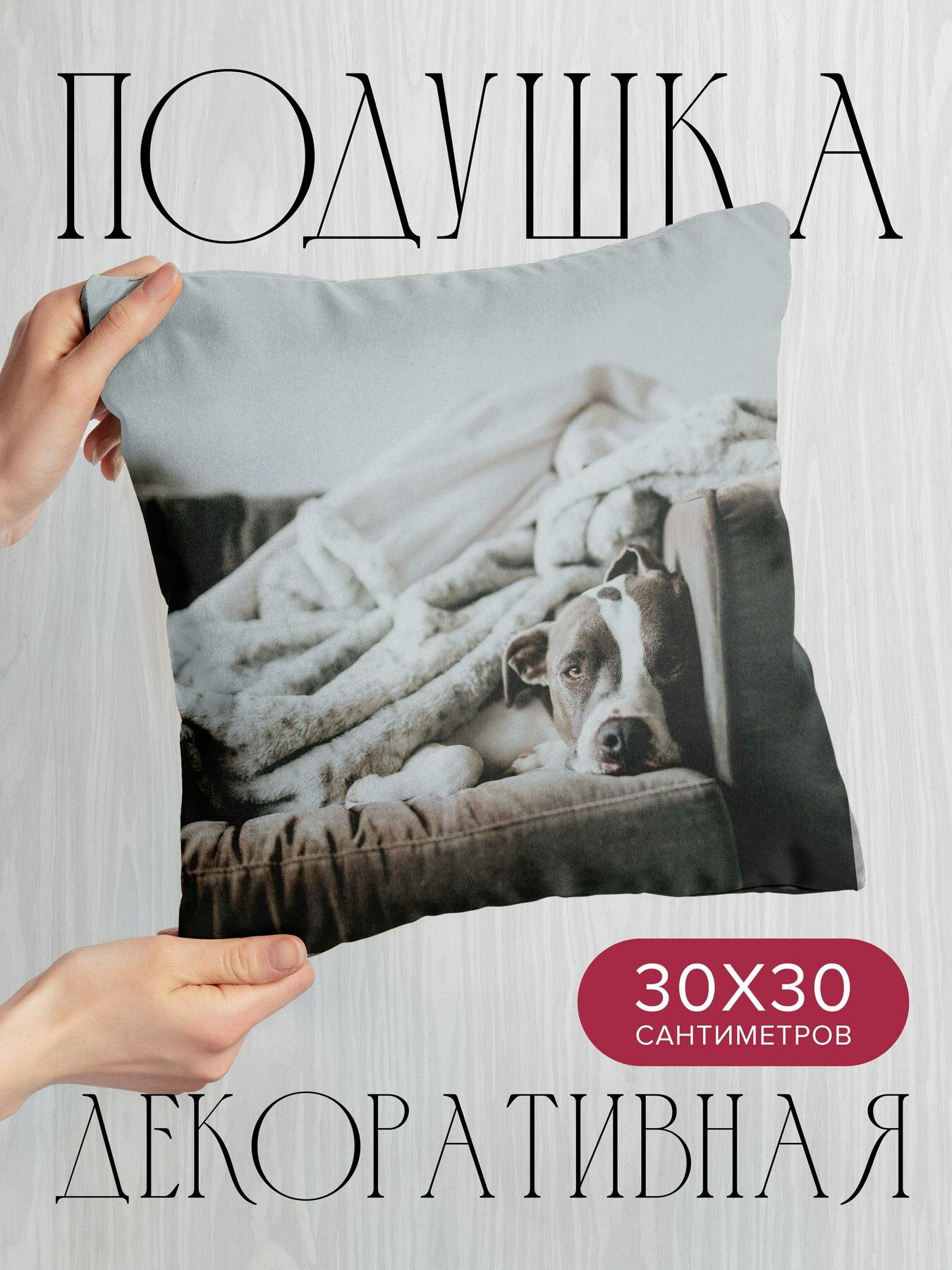 Подушка декоративная, 30x30см / Животные / собака / бульдог