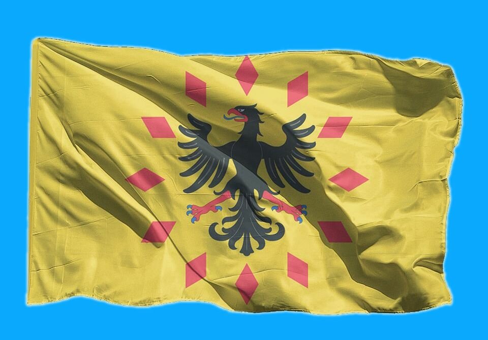 Флаг Королевства Лирии и Ривии из Ведьмака 90х135 см на шёлке для ручного древка