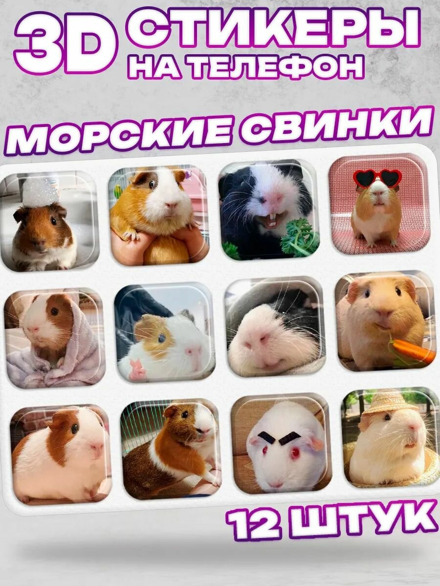 3D стикеры на телефон морские свинки