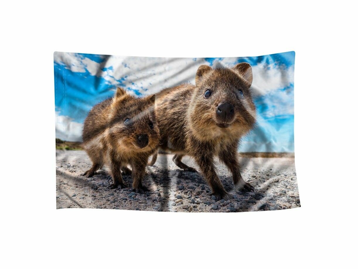 Флаг GOODbrelok Квокка, Quokka