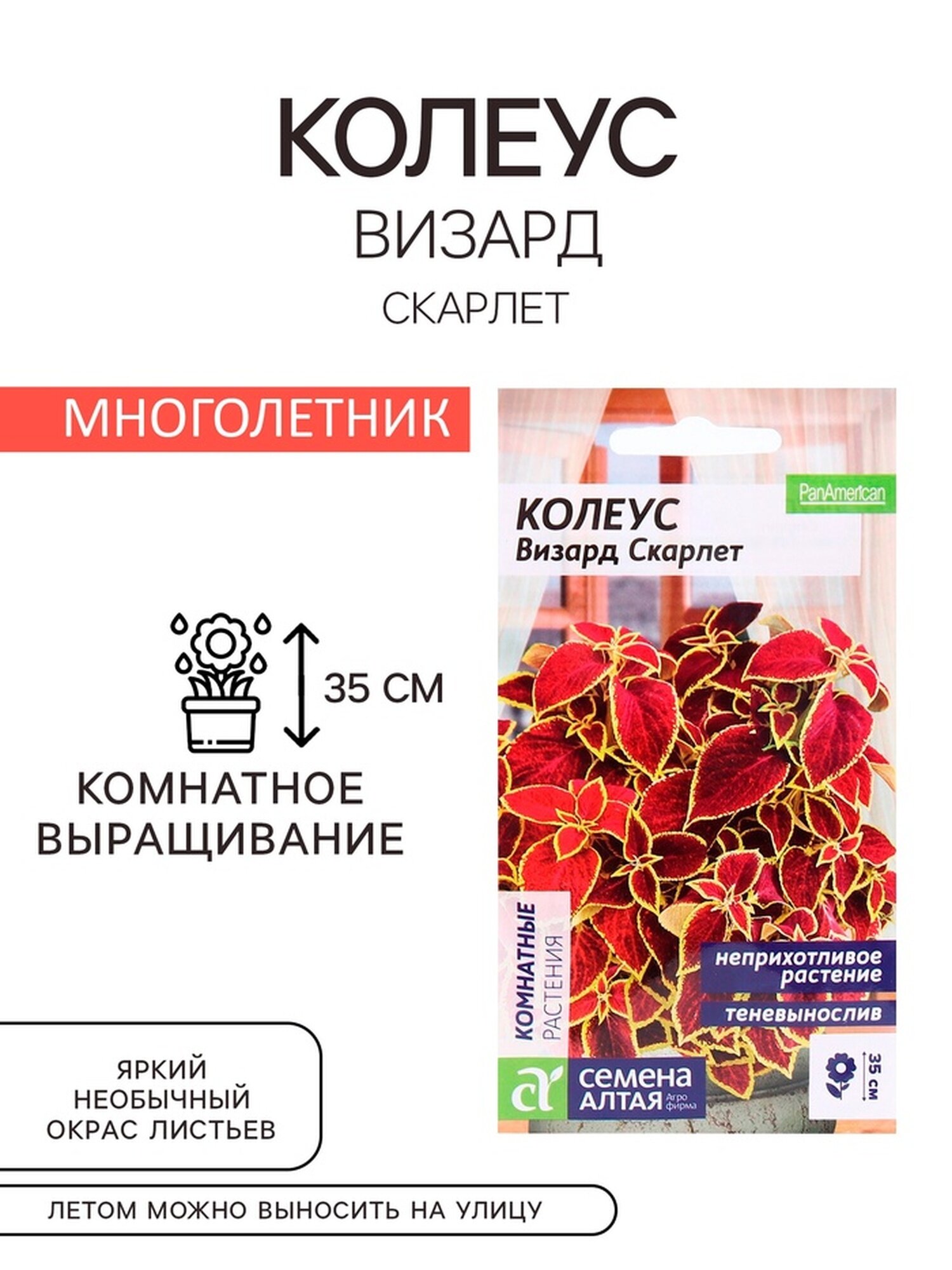 Семена комнатных цветов Семена Алтая "Колеус Скарлет", декоративные, 5 шт