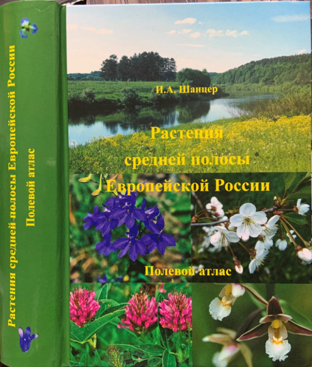 Растения средней полосы Европейской России. Полевой атлас