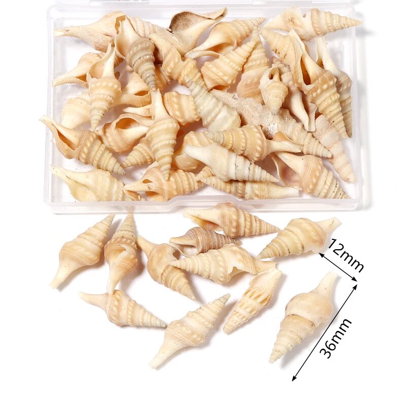 1 коробка морских ракушек: спиральные ракушки, миниатюрные океанские ракушки для поделок, J 18Pcs