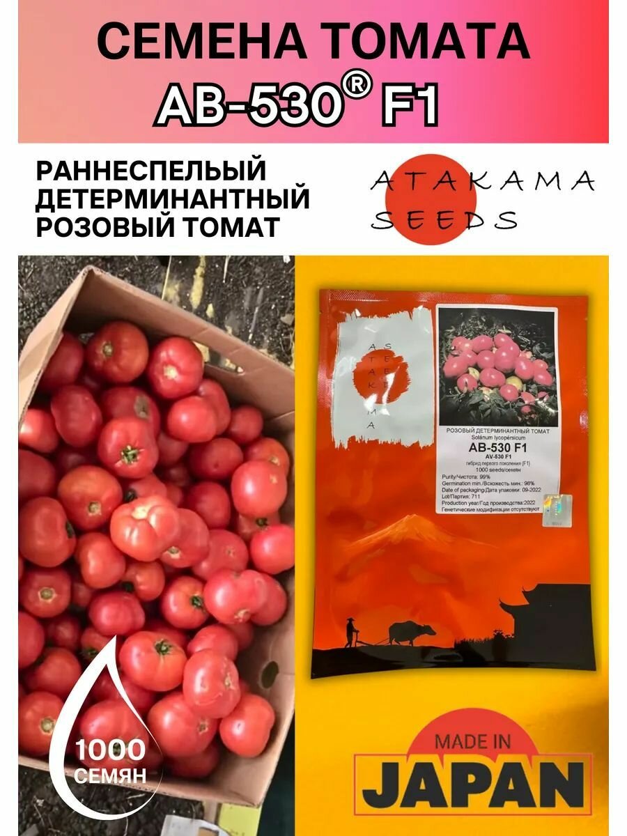 Томат АВ-530 F1 1000 семян Atakama Seeds, профессиональные семена