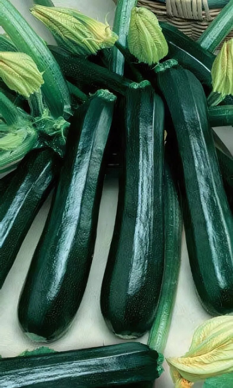 Семена кабачка 'Черный красавец' 10шт, раннеспелый, темно-зеленый, урожайный