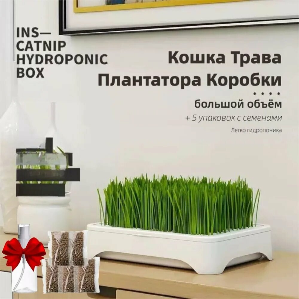 Кошка Трава Плантатора Коробки / 7 пакетиков семян