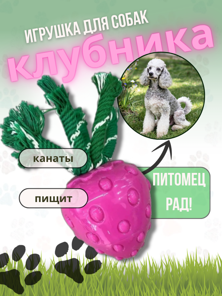 Игрушка для собак "Клубника", с пищалкой, канатами, для активных игр