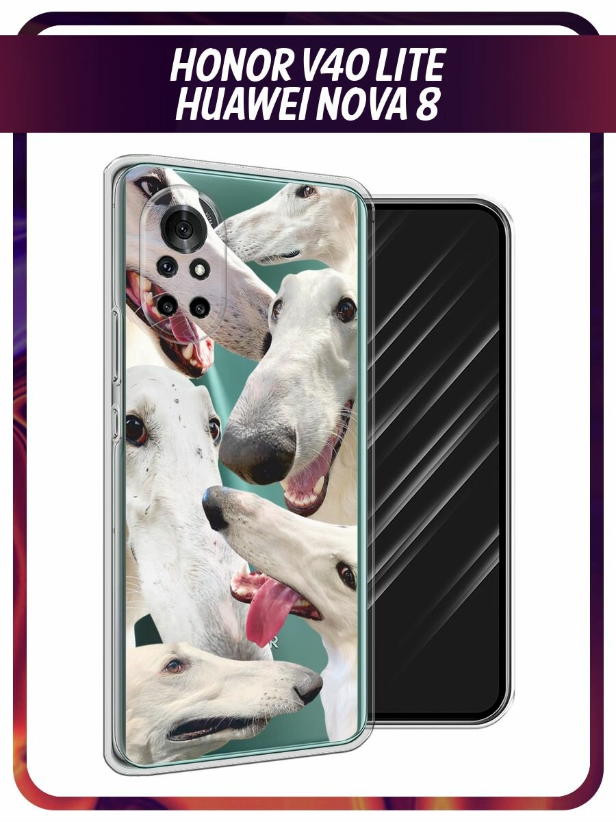 Чехол на Honor V40 Lite/Huawei Nova 8 / Хонор В40 Лайт/Хуавей Нова 8 с принтом Собака с длинным носом, прозрачный