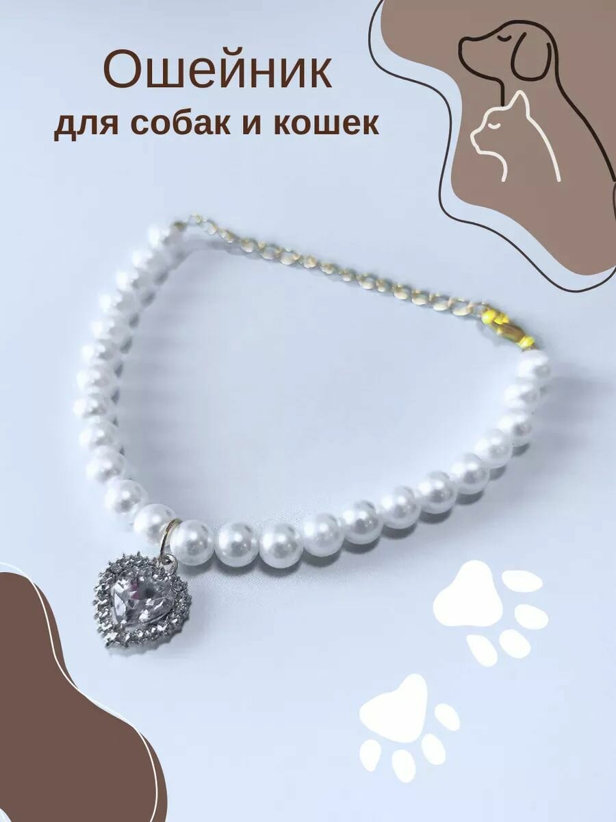 Ошейник для кошек и собак