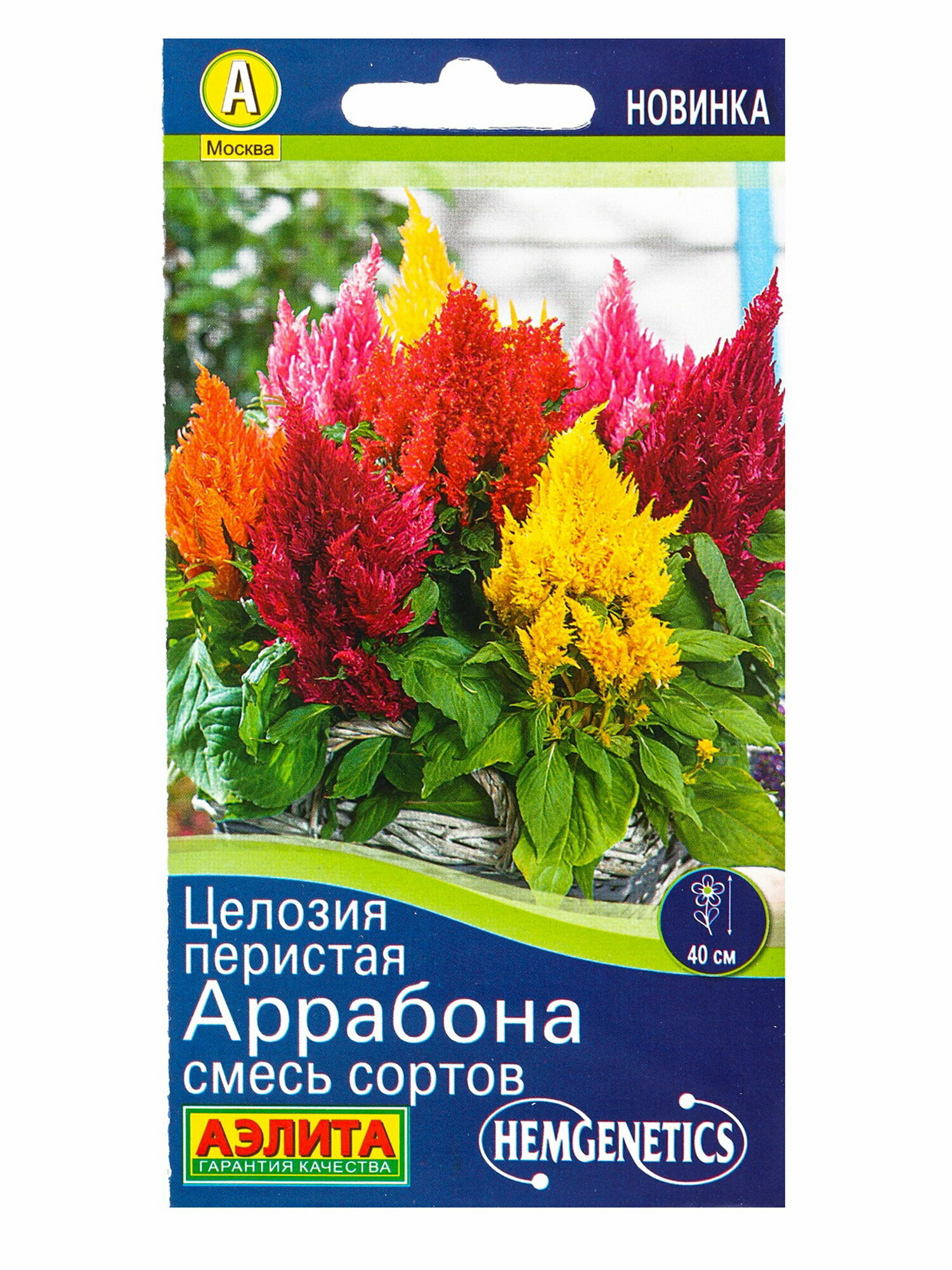 Семена цветов Целозия перистая "Аррабона", смесь сортов, 7 шт, Hem Genetics, "аэлита"