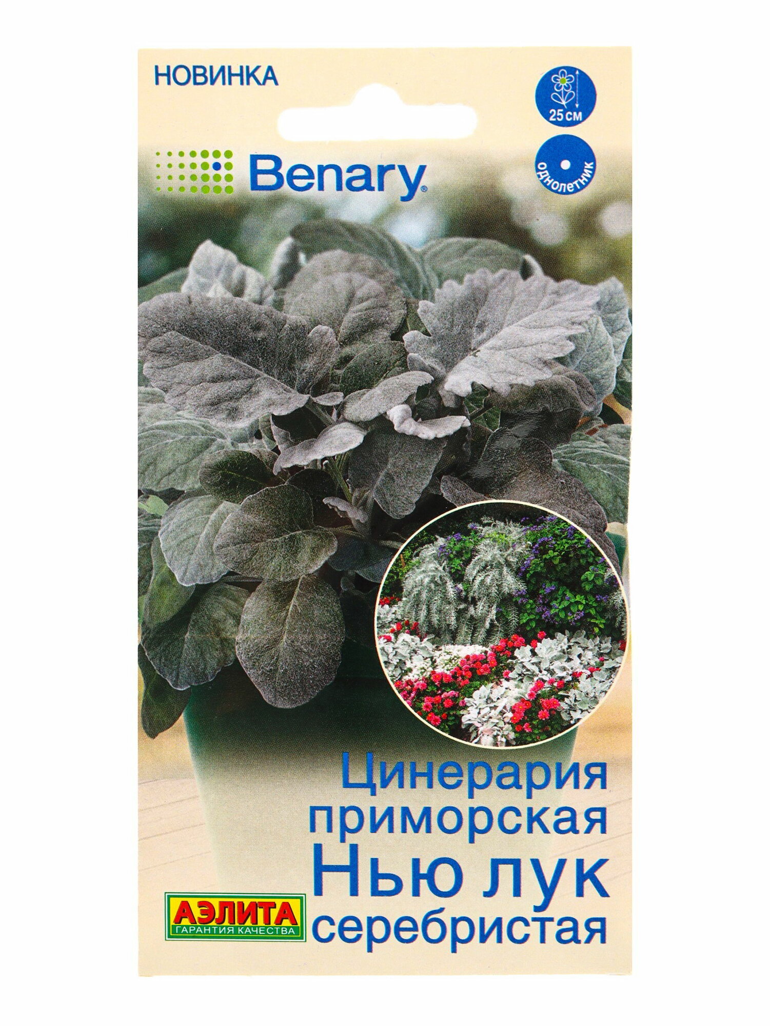 Семена цветов Цинерария Нью Лук серебристая, размер упаковки: 8 x 0.2 x 15 см.