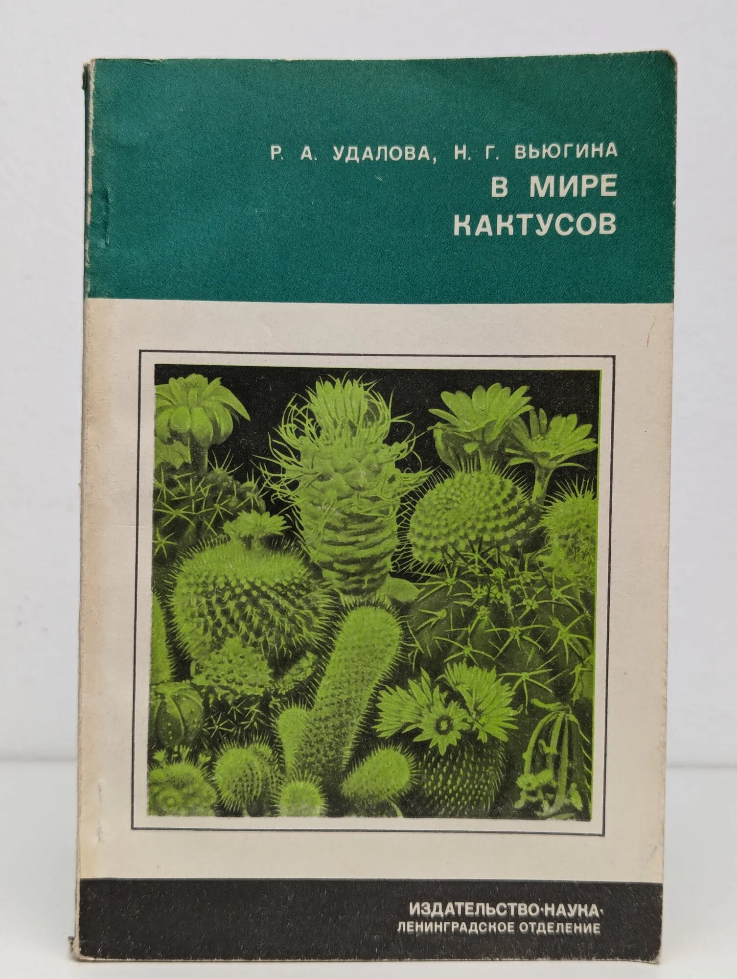 В мире кактусов Удалова Роза Алексеевна, Вьюгина Надежда Георгиевна 1977