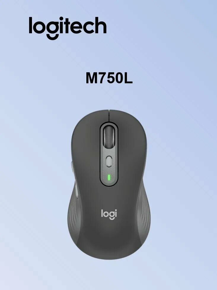 Мышь беспроводная M750L, черный, черно-серый