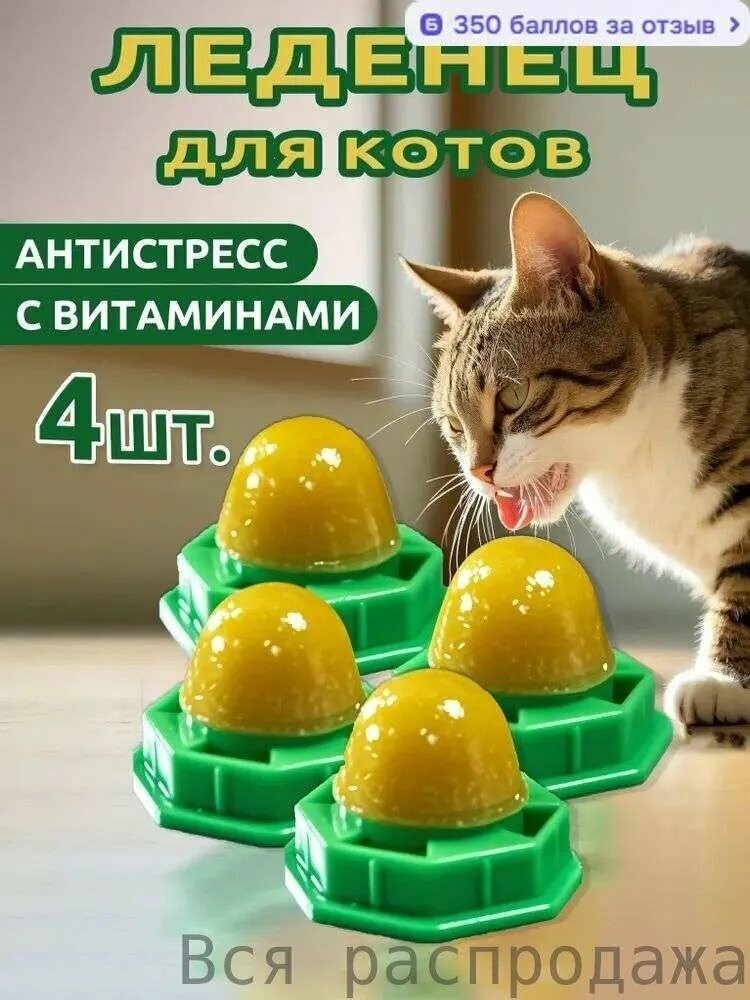 Леденец для кошек, шарик с кошачьей мятой,4 шт, вкусные игрушечные мячики с курицей и витаминами для кошек