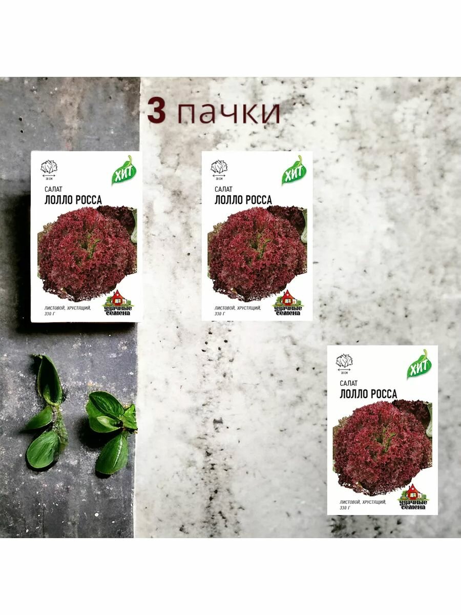 Салат Лолло Росса цв. п 0,5г ХИТ лист, бордо (комплект из 3 пачек) Гавриш