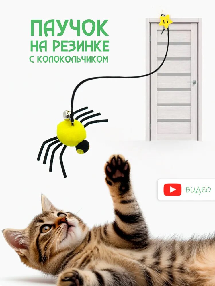 Игрушка для кошек на резинке (2 метра). Интерактивная дразнилка для кошки Паук.