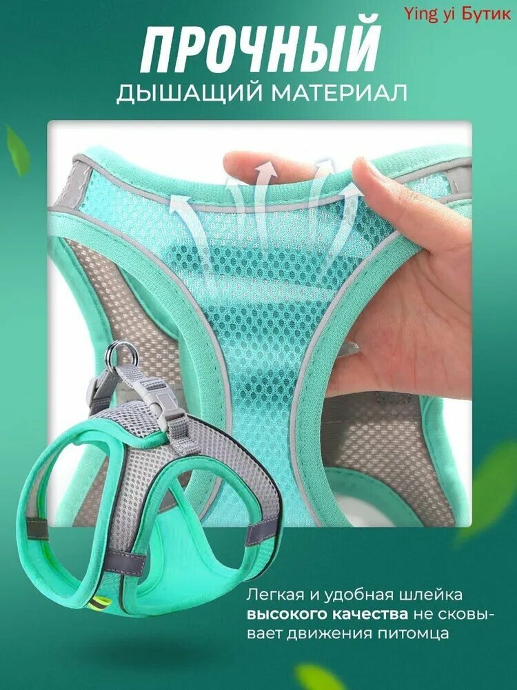Шлейка, прогулочная для кошек и собак мелких пород, удобная для выгула — фото 1