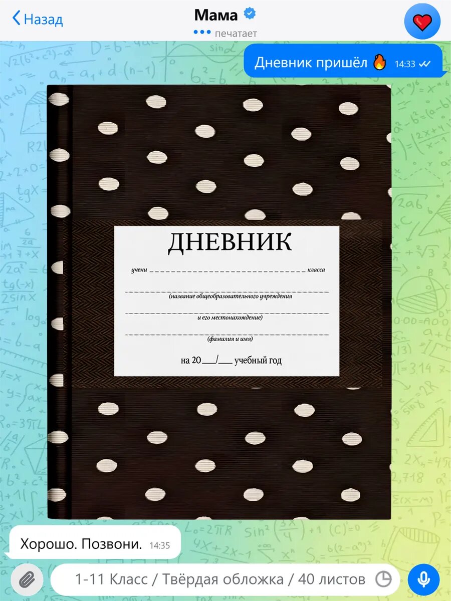Школьный дневник с принтом y2k pinterest