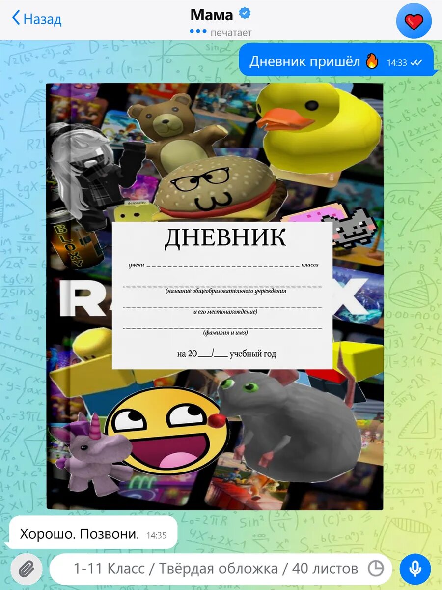 Школьный дневник с принтом Роблокс