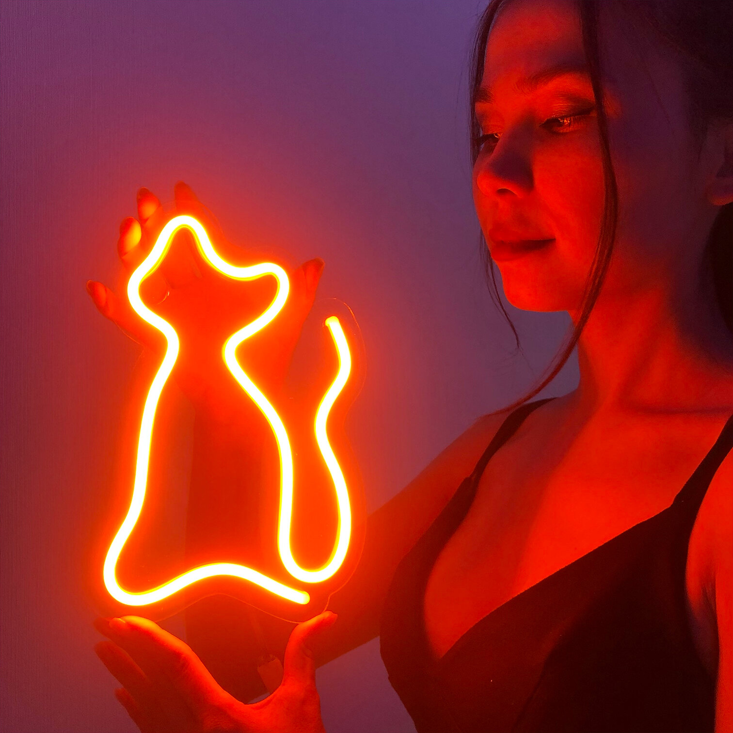 Неоновый светильник, неоновая светодиодная вывеска на стену, настенная неоновая лампа "Кошка" для дома, 16 х 24 см. с диммером