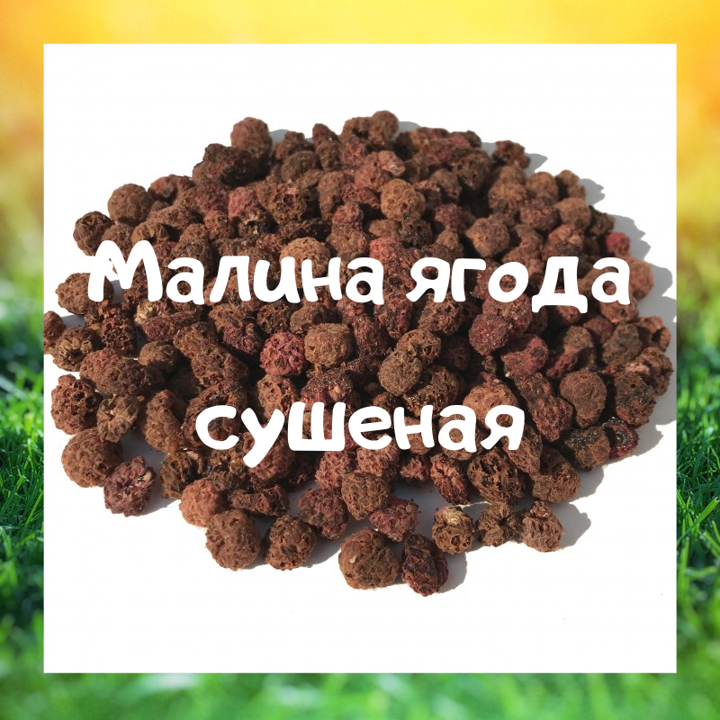 Настоящая сибирская ягода, лесная малина сушеная , 100 гр. Енисей чай . Собрано в Сибири ! В предгорье Саян.