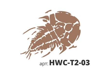 Трафарет Виниловый STMDECOR скарабей HWC-T2-03 300*300*0.4 мм.