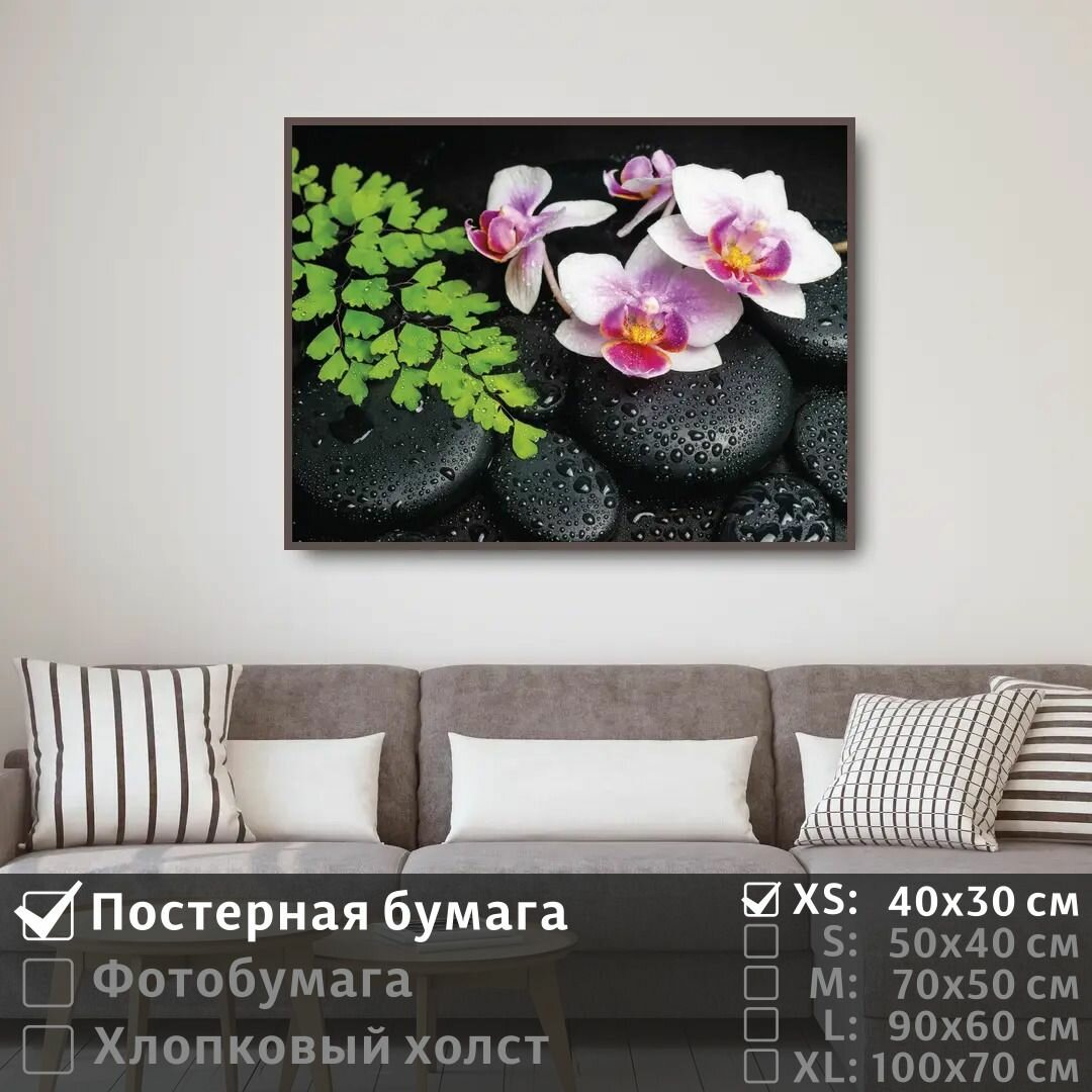 Постер на стену Орхидея И Дзен Камни С Каплями 40х30 см ПолиЦентр