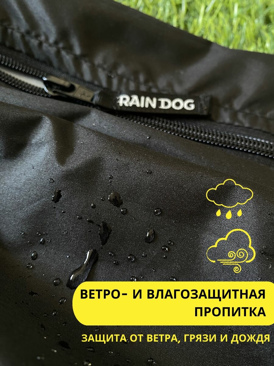 Одежда для животных -lj — фото 1