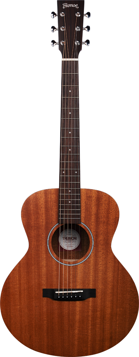 Акустическая гитара Trumon TSmini11E