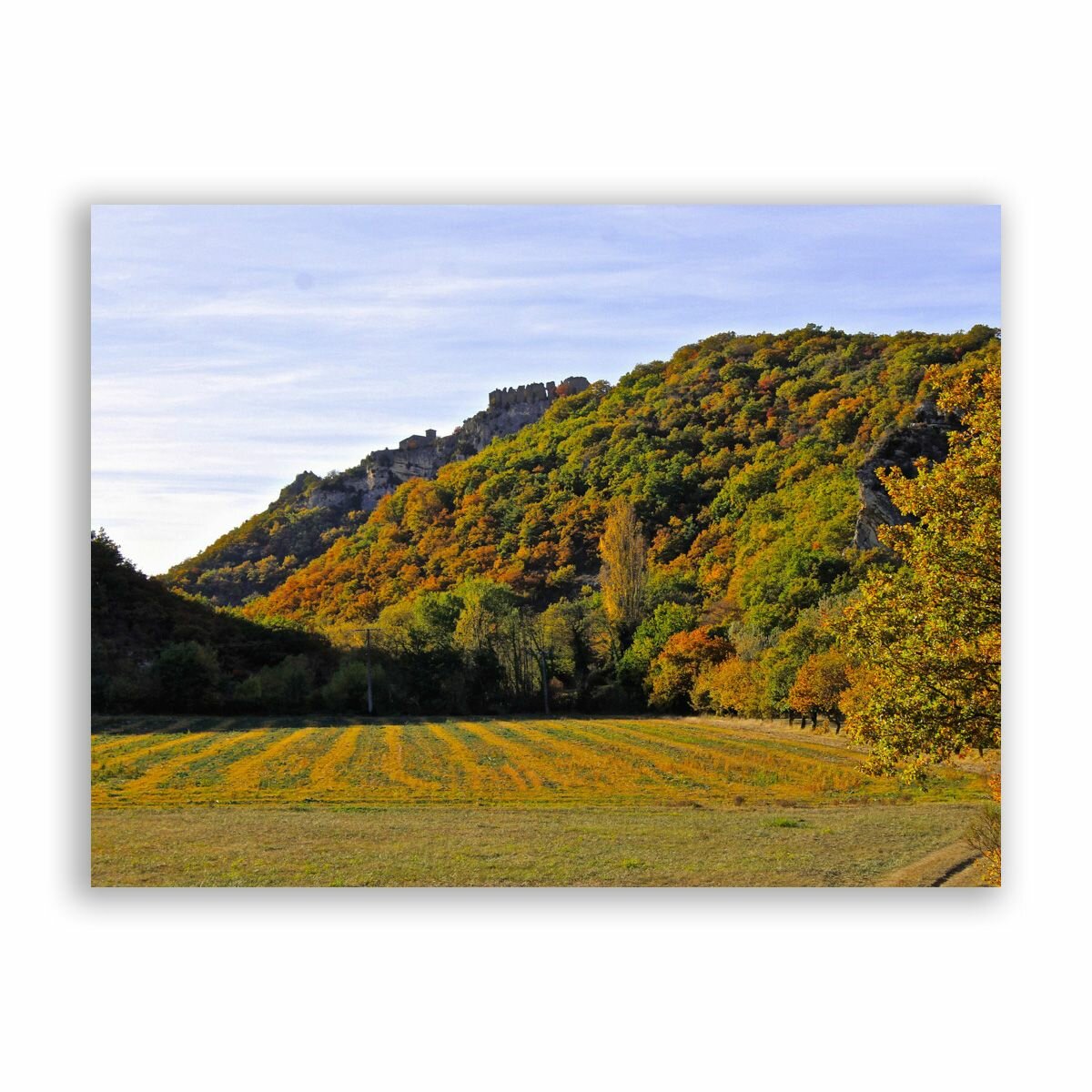 Постер, плакат на бумаге / Природа Франции - Поле / Размер 80 x 106 см