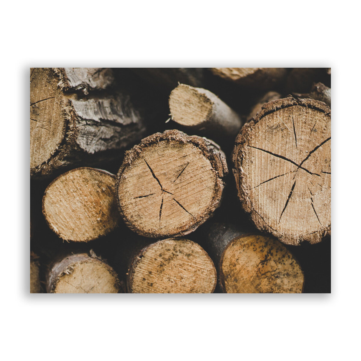 Постер, плакат на бумаге / Древесина / Размер 30 x 40 см