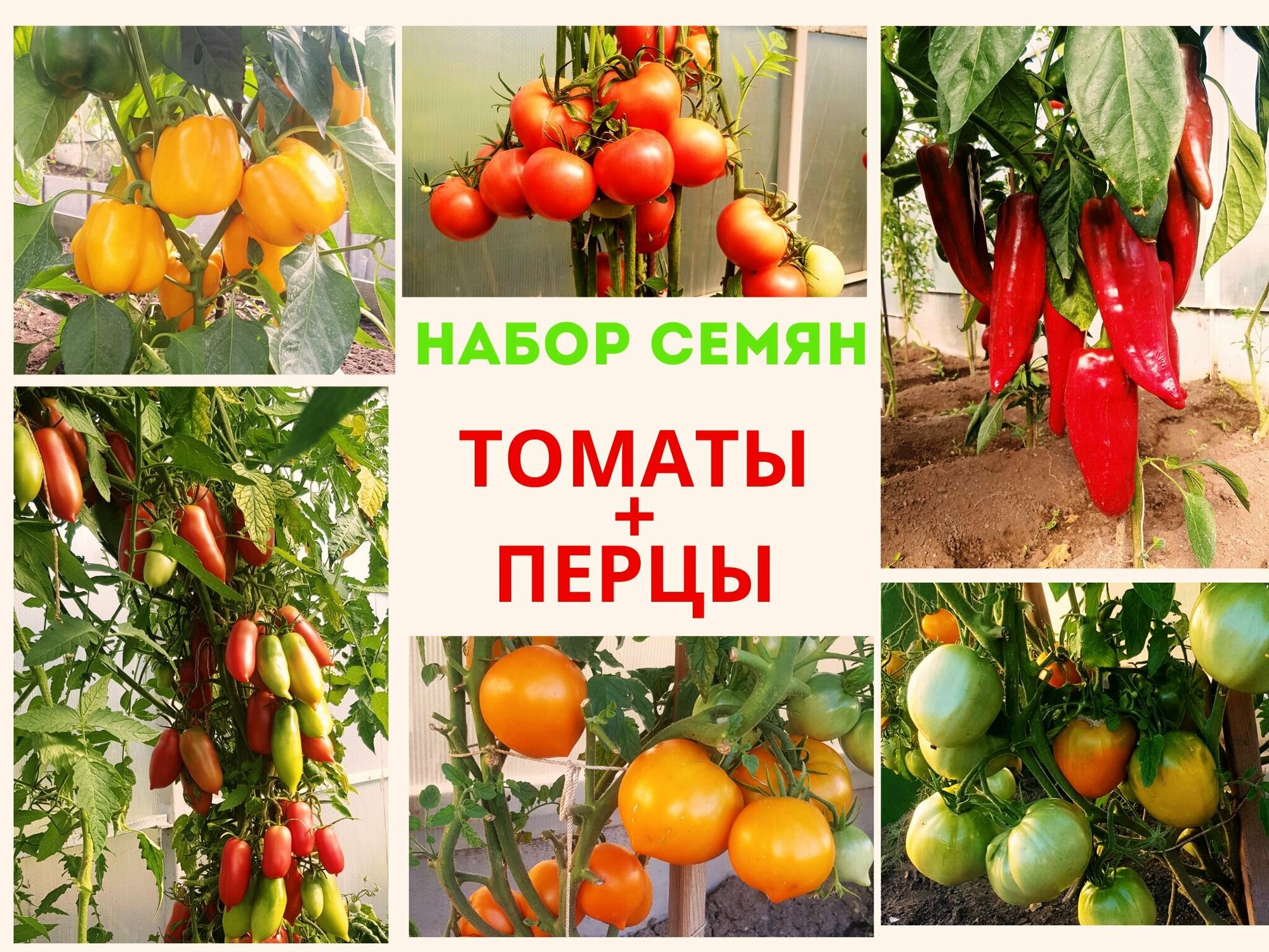 Семена томатов, семена перца сладкого, набор семян: Томаты, Перцы