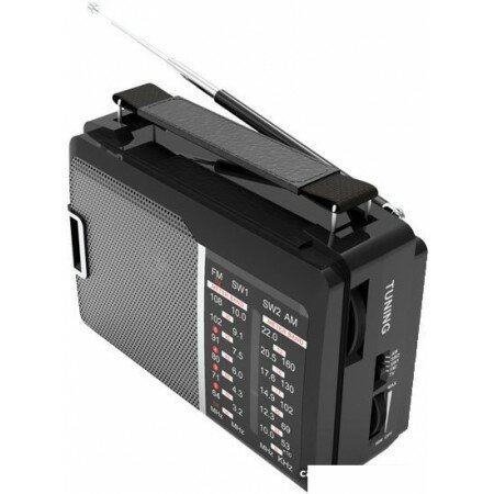 Радиоприемник Ritmix RPR-190