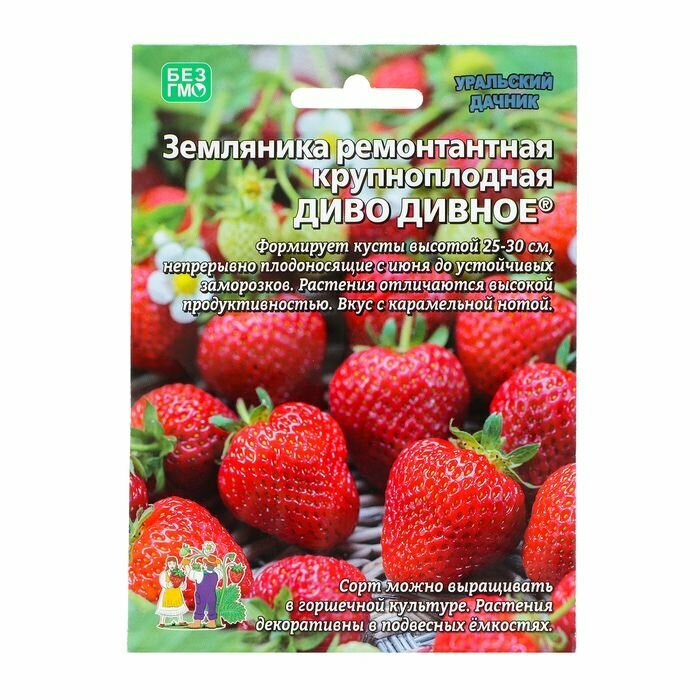 Семена Земляника Диво дивное , 10 шт, ремонтантная, крупноплодная, Уральский дачник