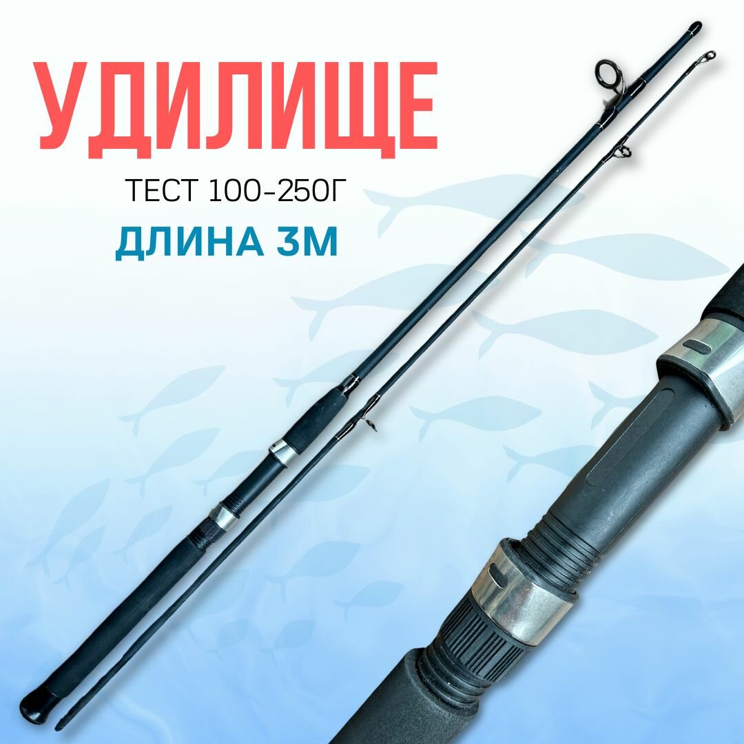 Удилище штекерное для рыбалки / удочка для рыбалки phantom PCA-020 100-250 3 м