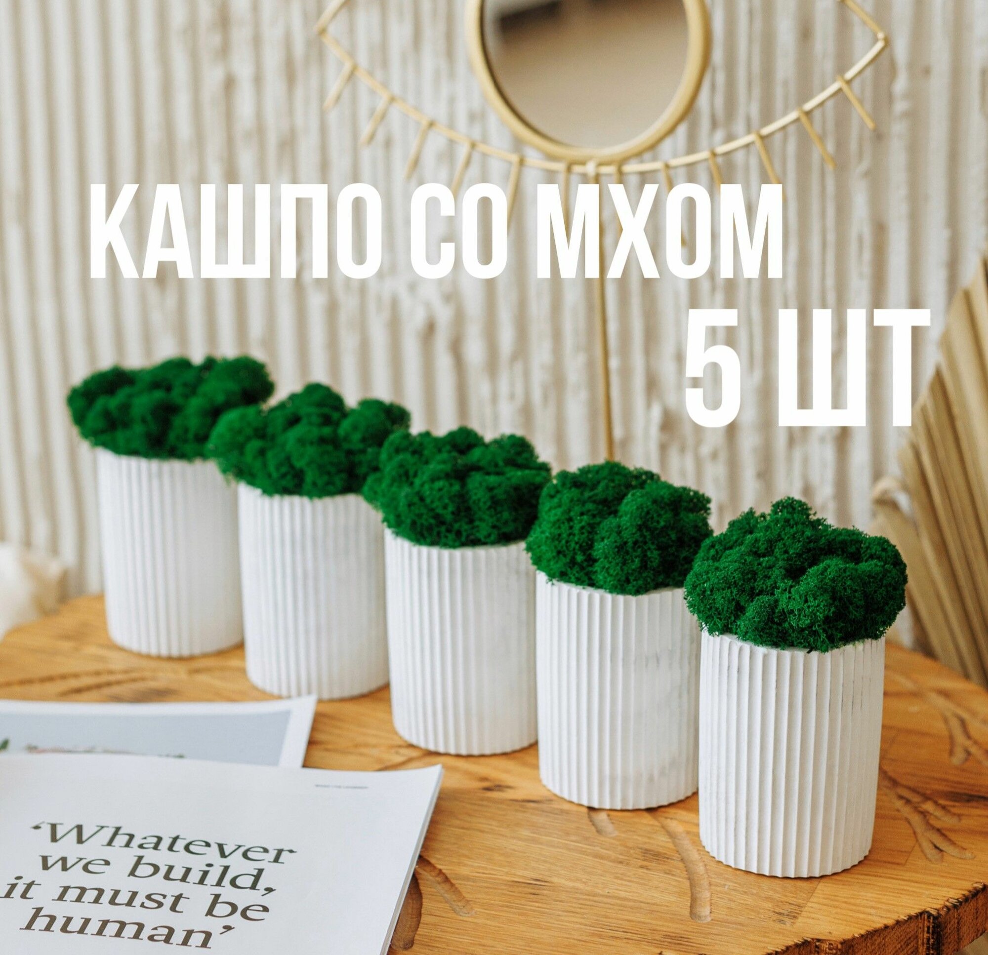 Набор ваз 5 шт из гипса со стабилизированным мхом для цветов сухоцветов настольный