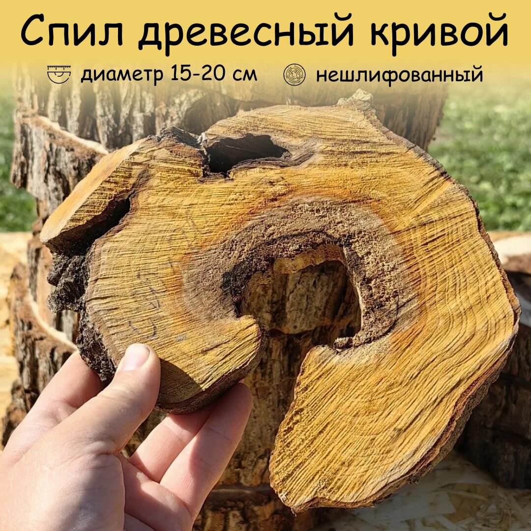 Спил 15-20 см кривой для творчества и декора интерьера, стабилизированный