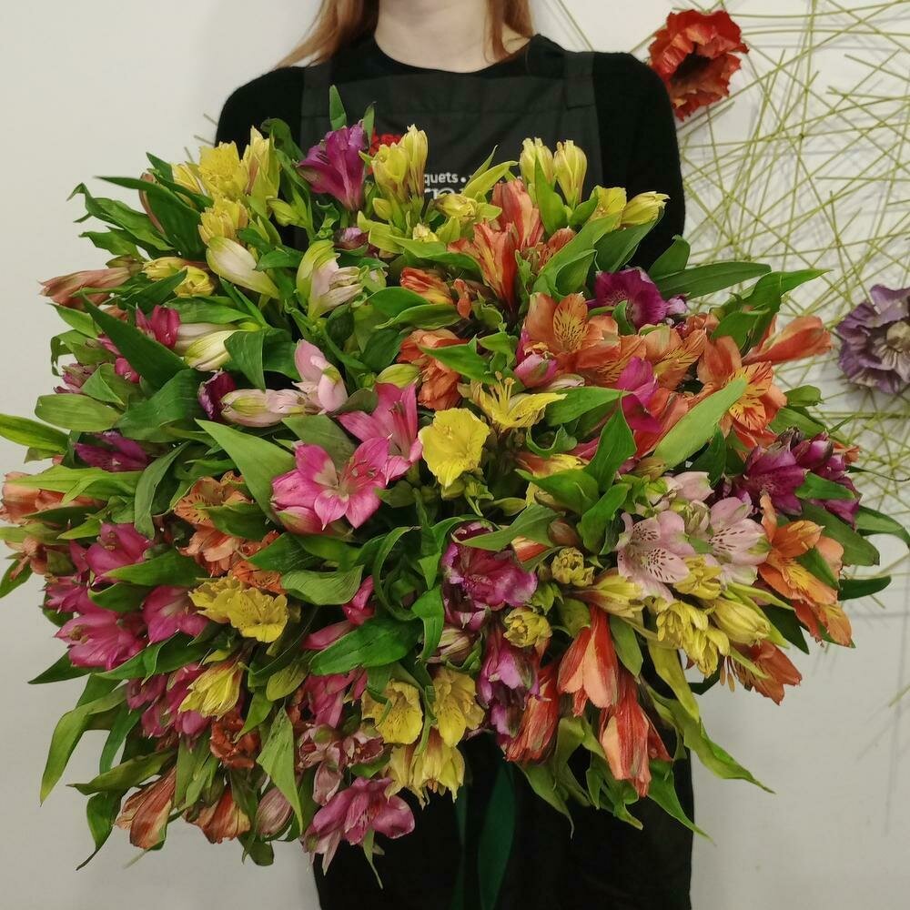 Букет "Альстромерия Микс"