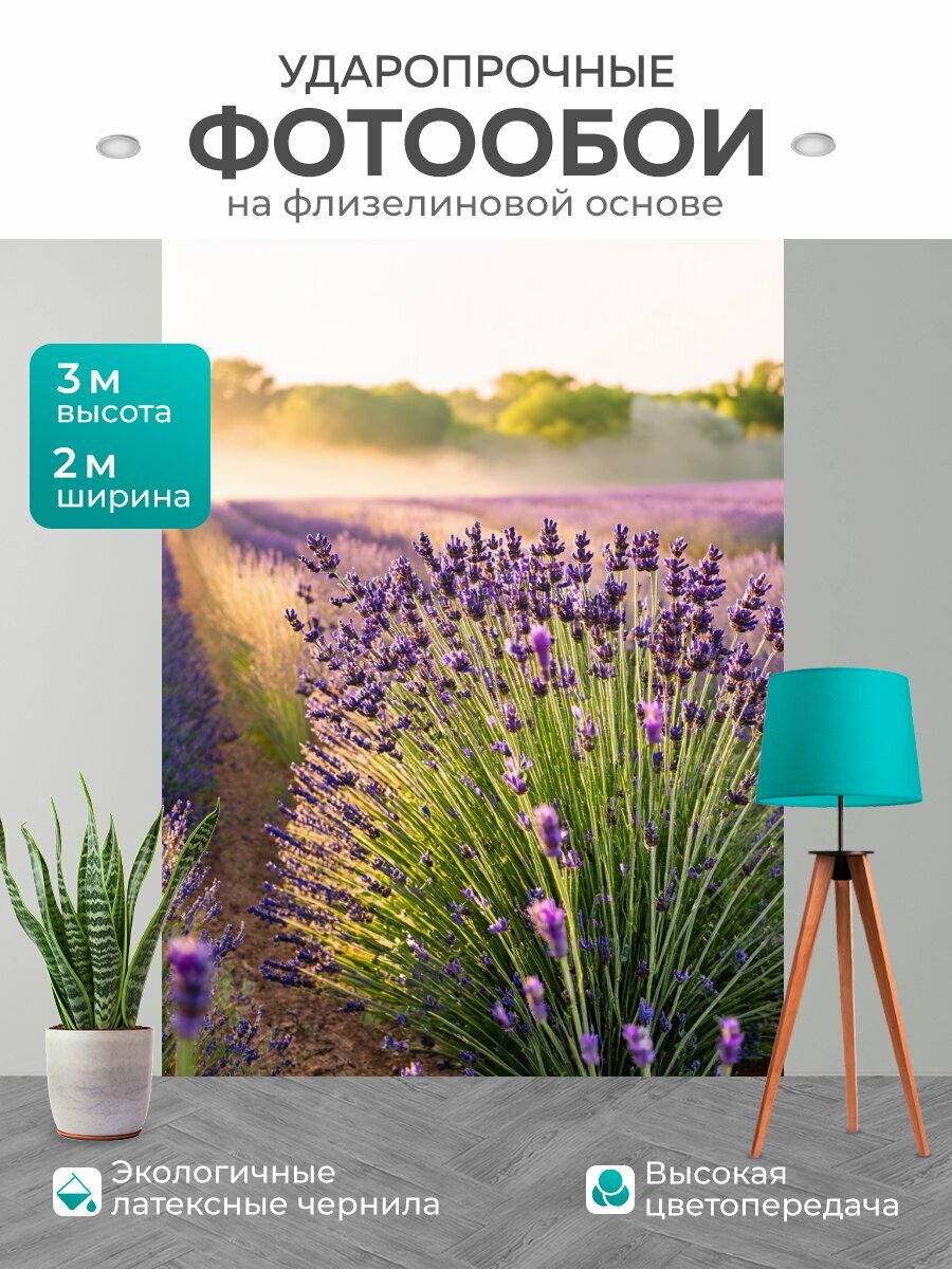 Фотообои моющиеся ударопрочные "Прованс показывают солнечное утро, когда легкий туман плавно развеивается над цветущими лавандовыми полями, создавая" 200x300 см. флизелиновые на стену