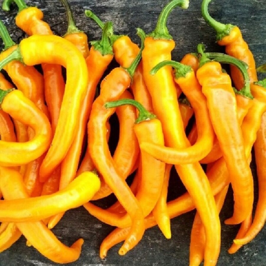 Семена Deodar SEEDS COMPANY Перец острый Цицак желтый 10 шт.