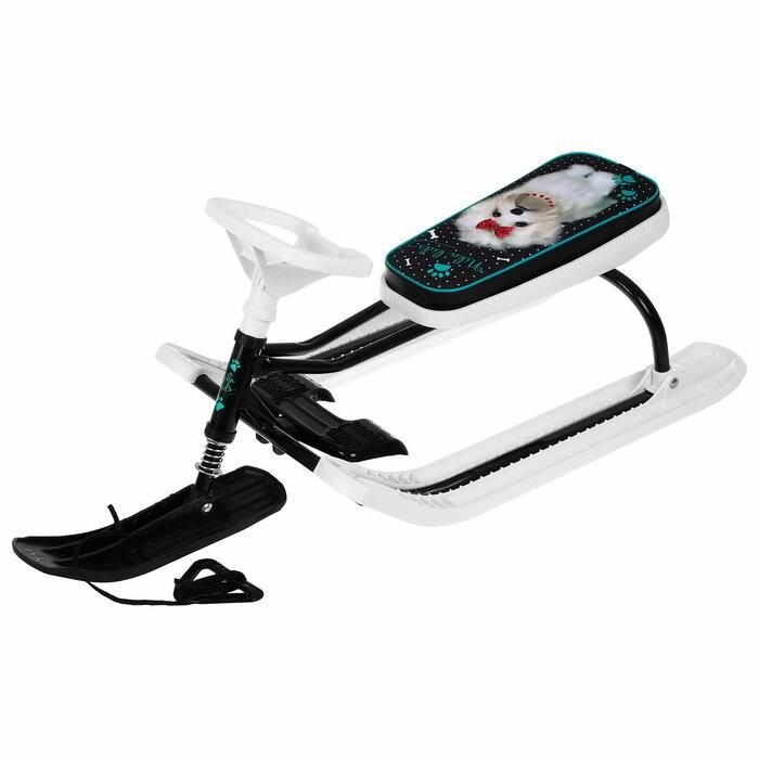 Снегокат Nika Тимка Спорт 2+, "Болонка" (5634973)