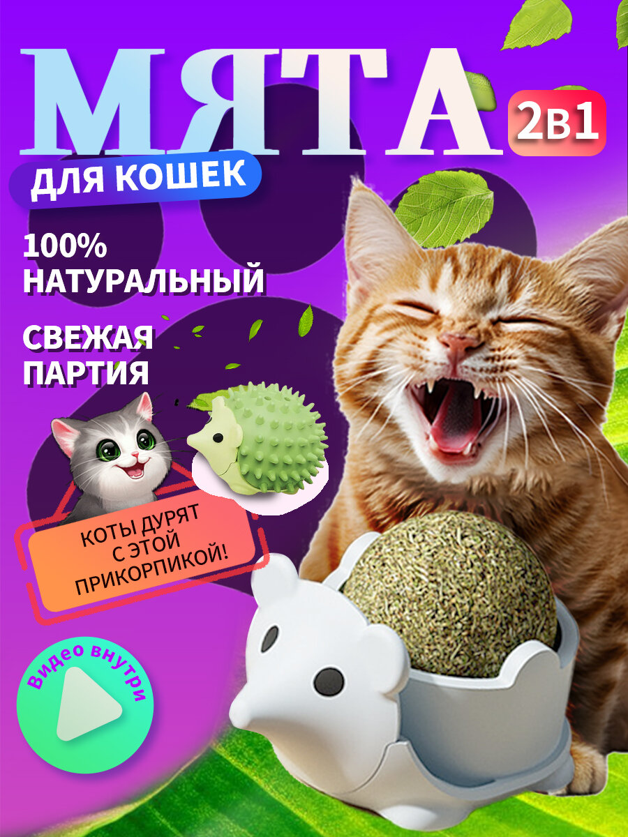 Игрушка для кошек "Ёжик с кошачьей мятой" для дрессировки, антистресс, для чистки зубов