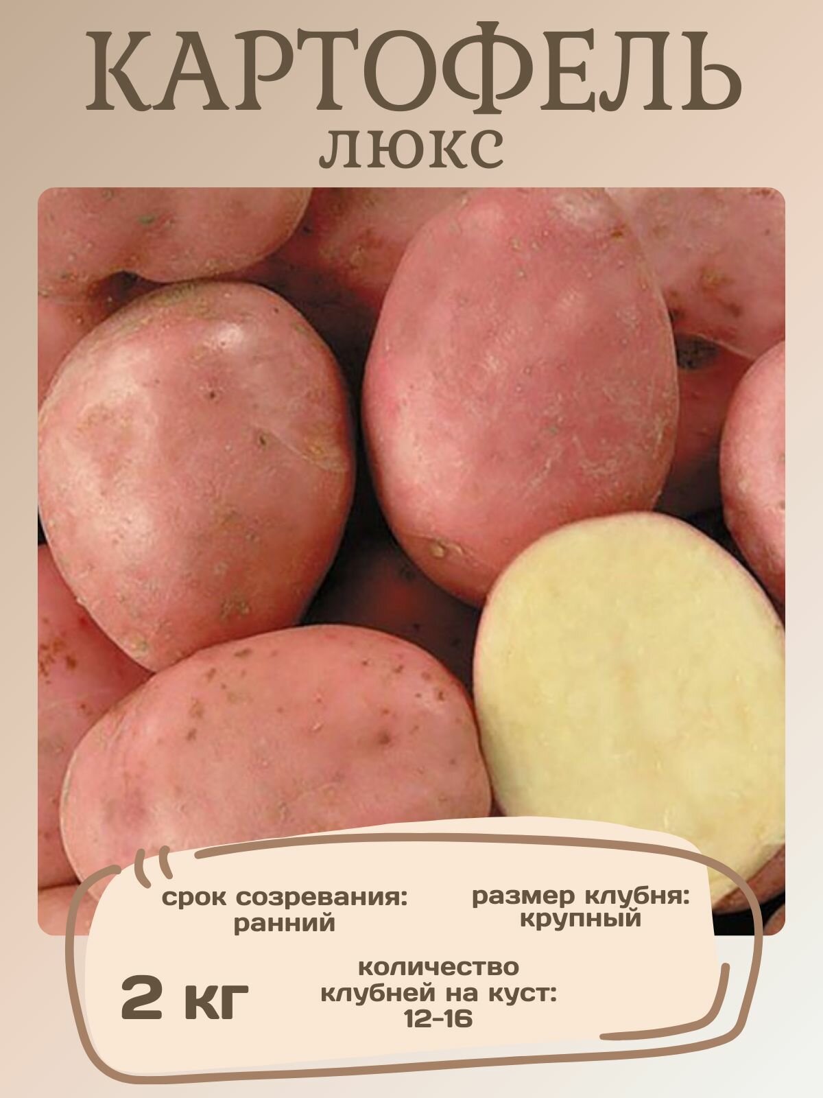 Картофель семенной 2 кг, на посадку