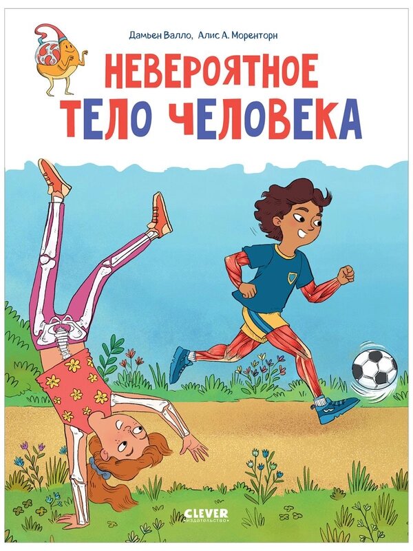 Удивительные энциклопедии. Невероятное тело человека